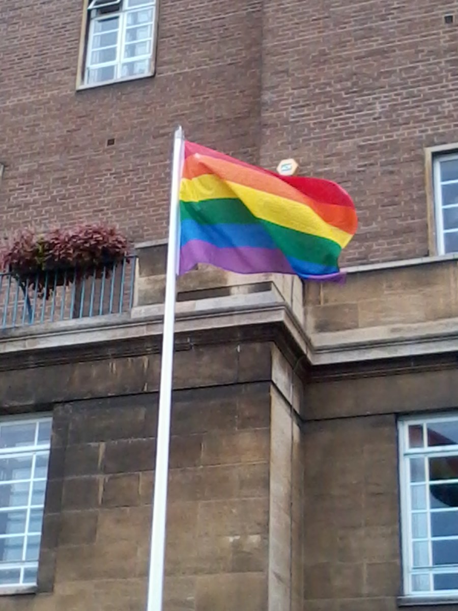 Norwich Pride 2013 – Perking the Pansies